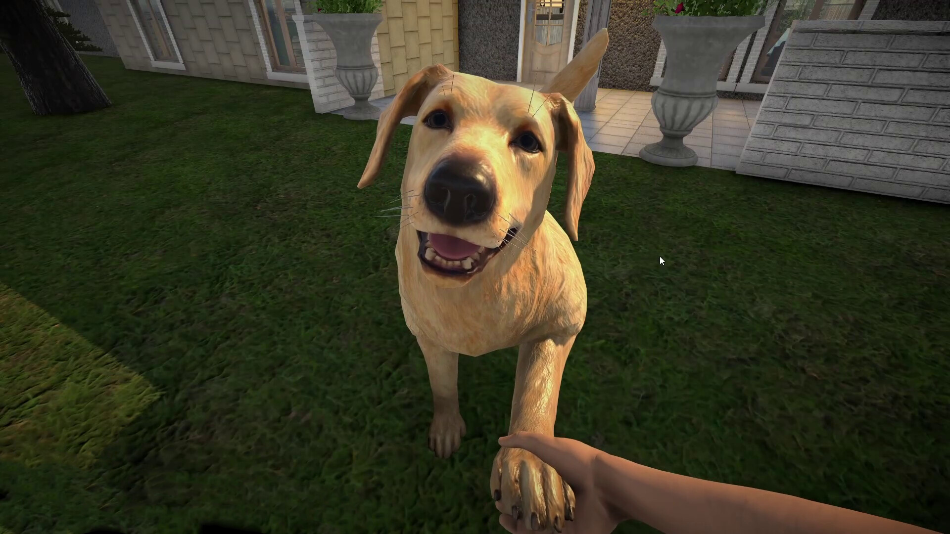 Pets Hotel on Steam
