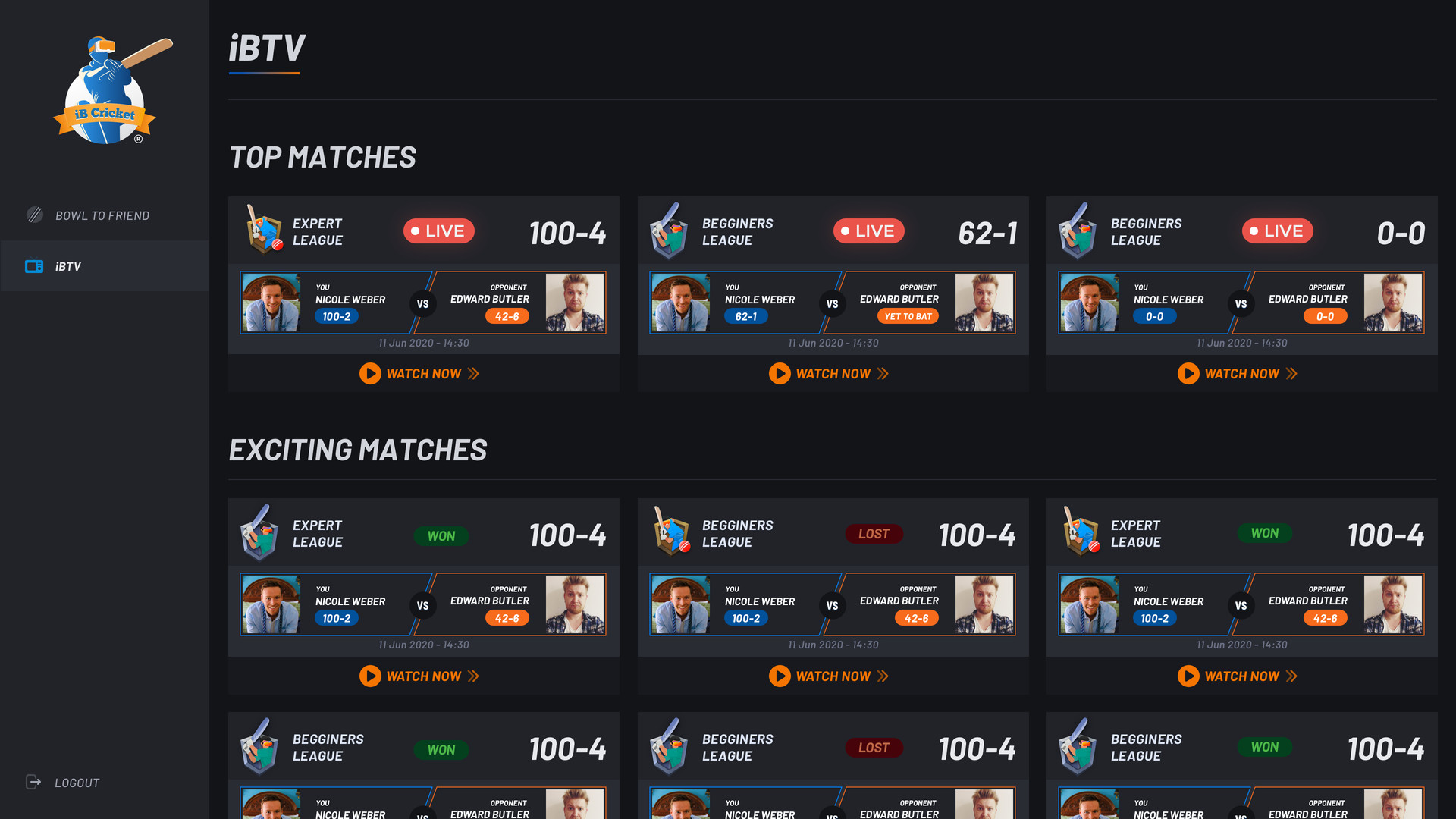 iB Cricket Companion on Steam