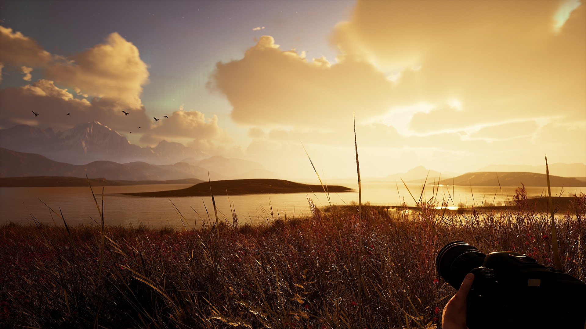 Steam - Photography Simulator