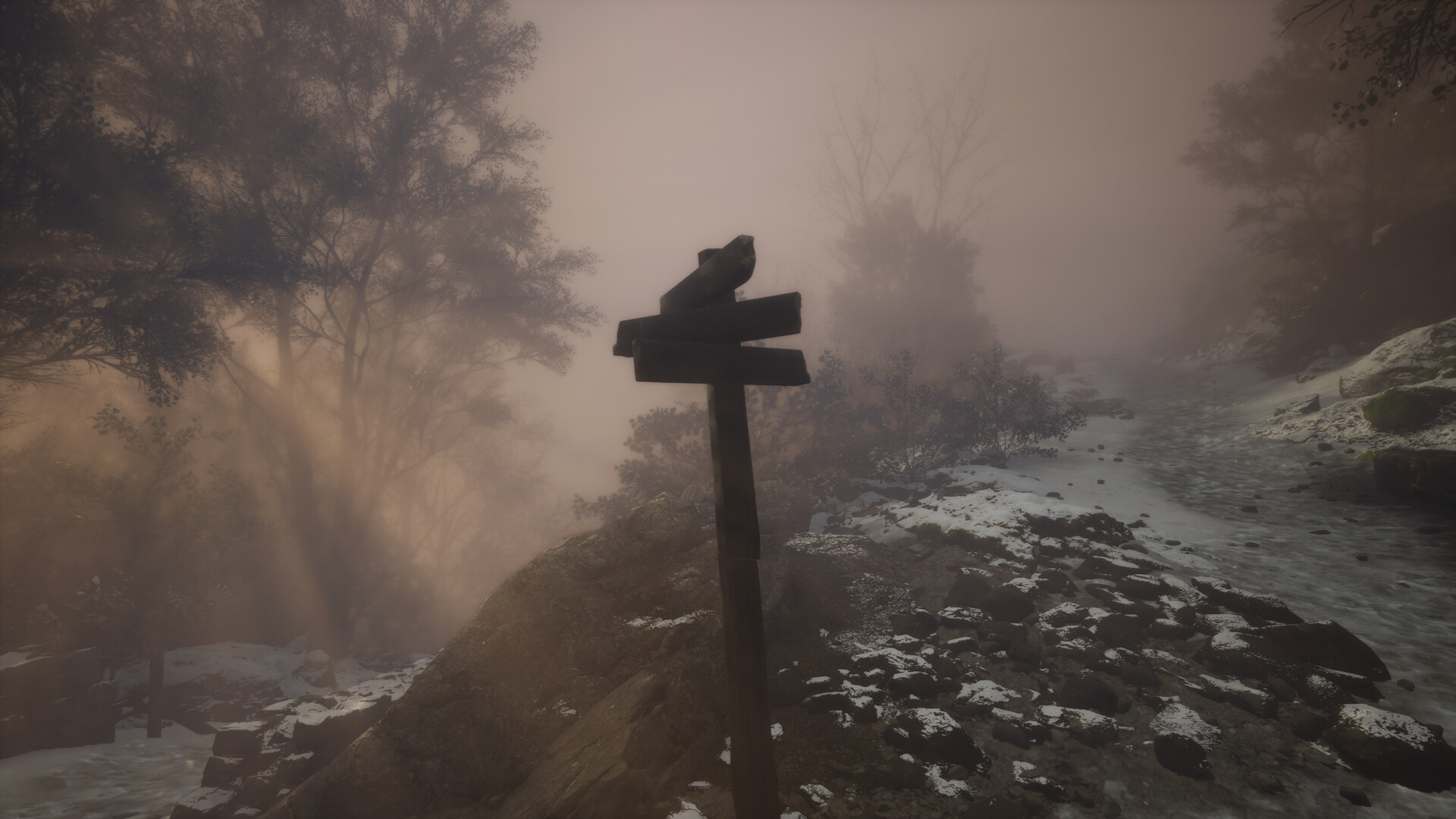 Lushfoil Photography Sim on Steam