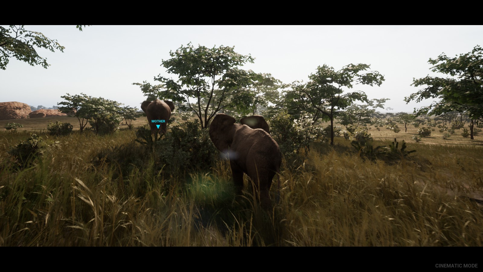 THE GREAT CIRCLE on Steam