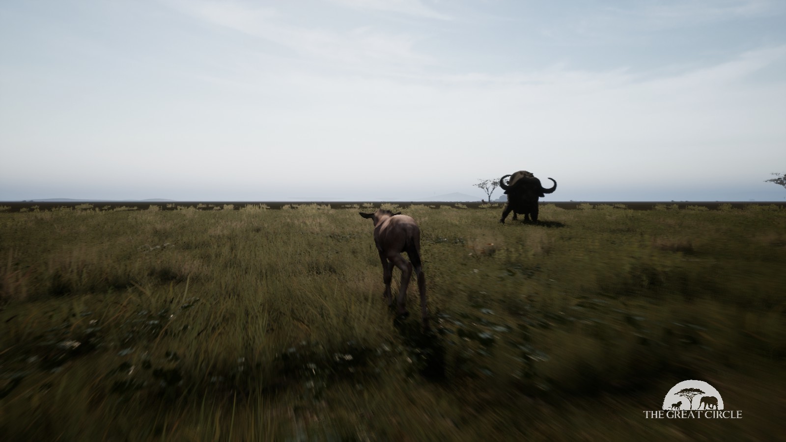 THE GREAT CIRCLE on Steam