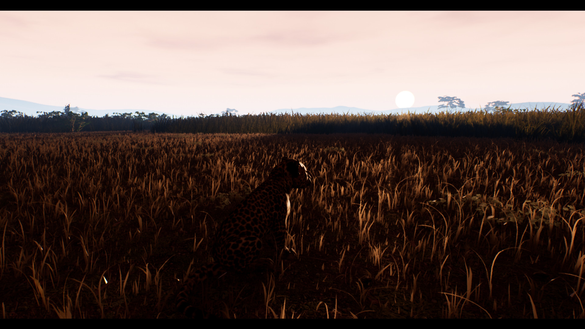 THE GREAT CIRCLE on Steam