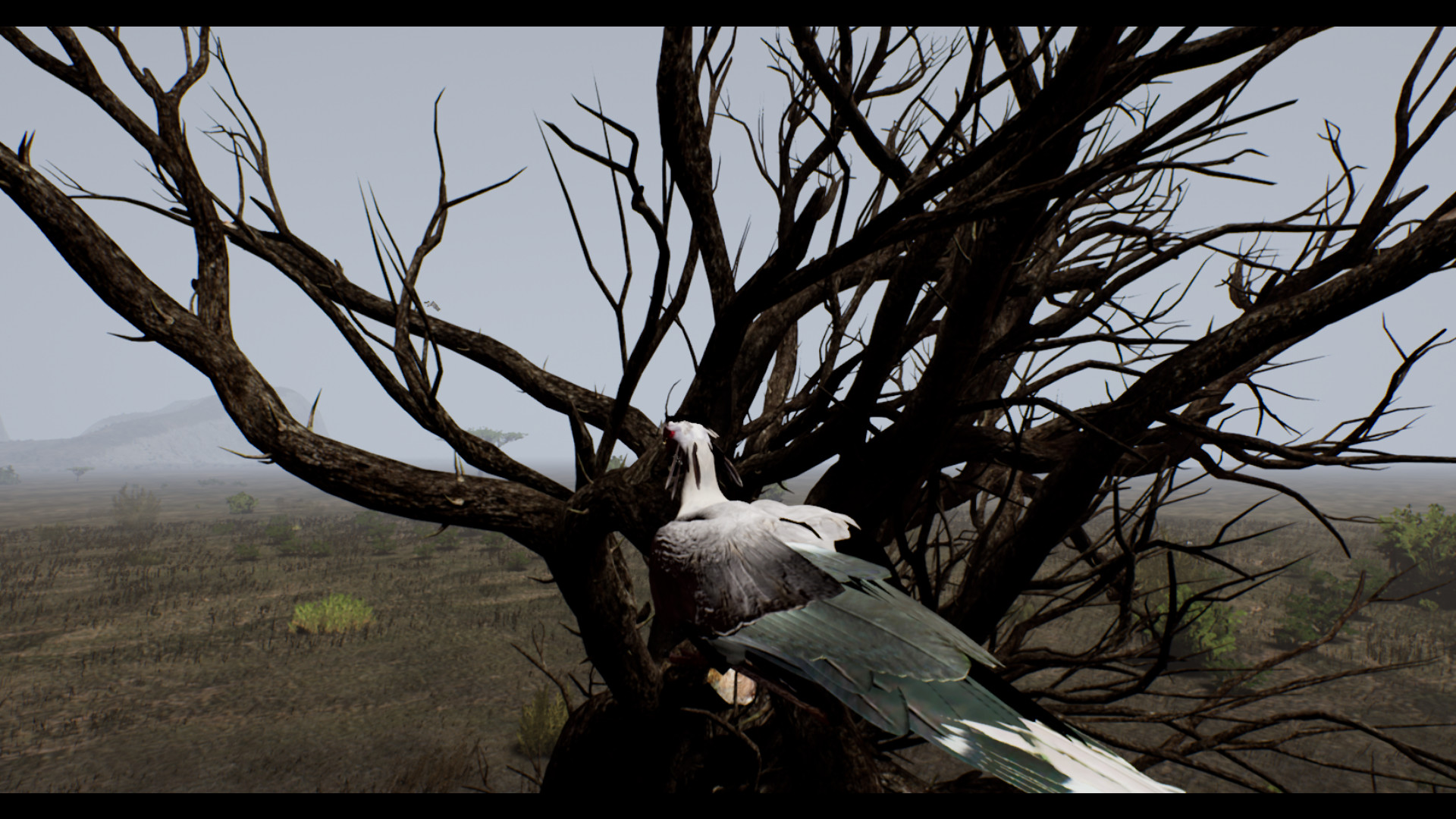 THE GREAT CIRCLE on Steam