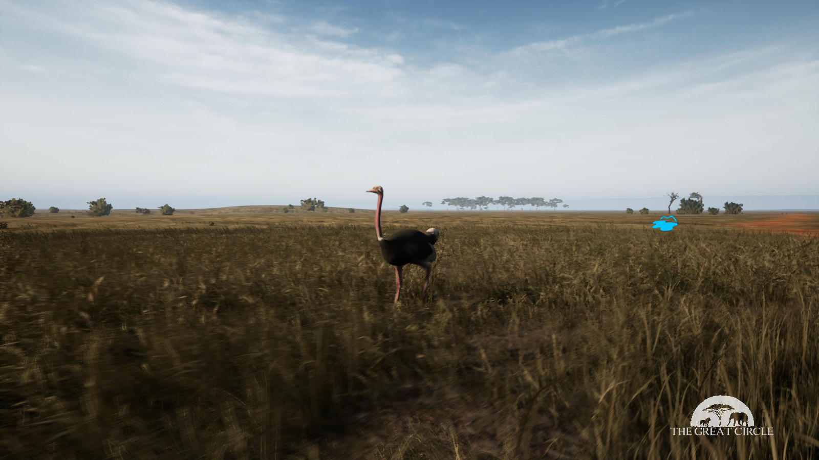 THE GREAT CIRCLE on Steam