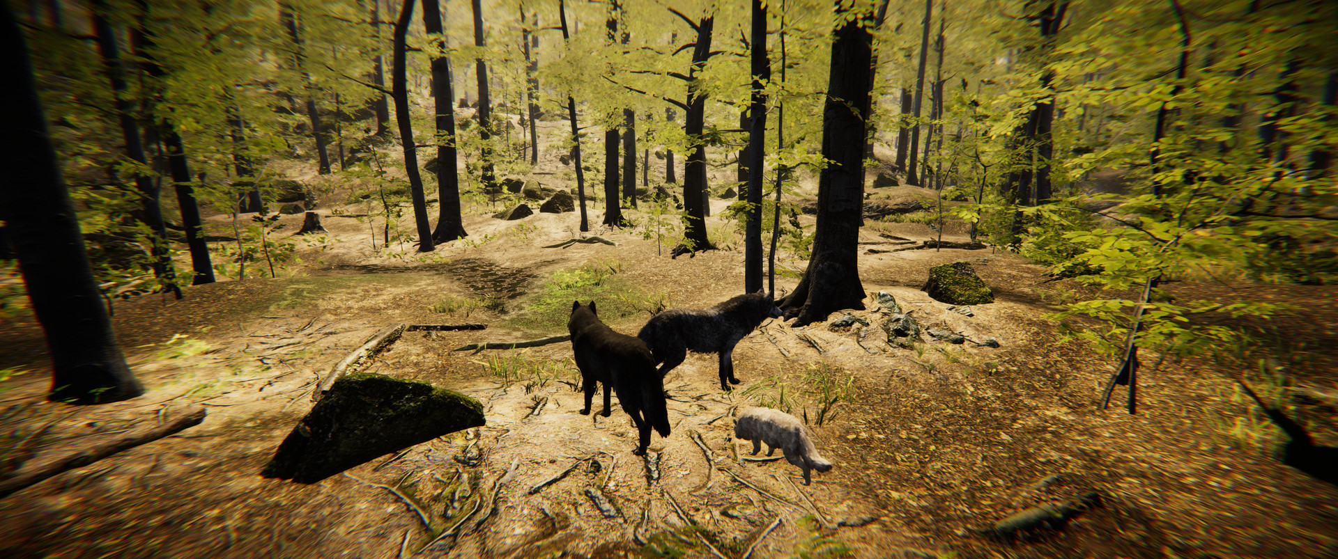 Animal Simulator on Steam