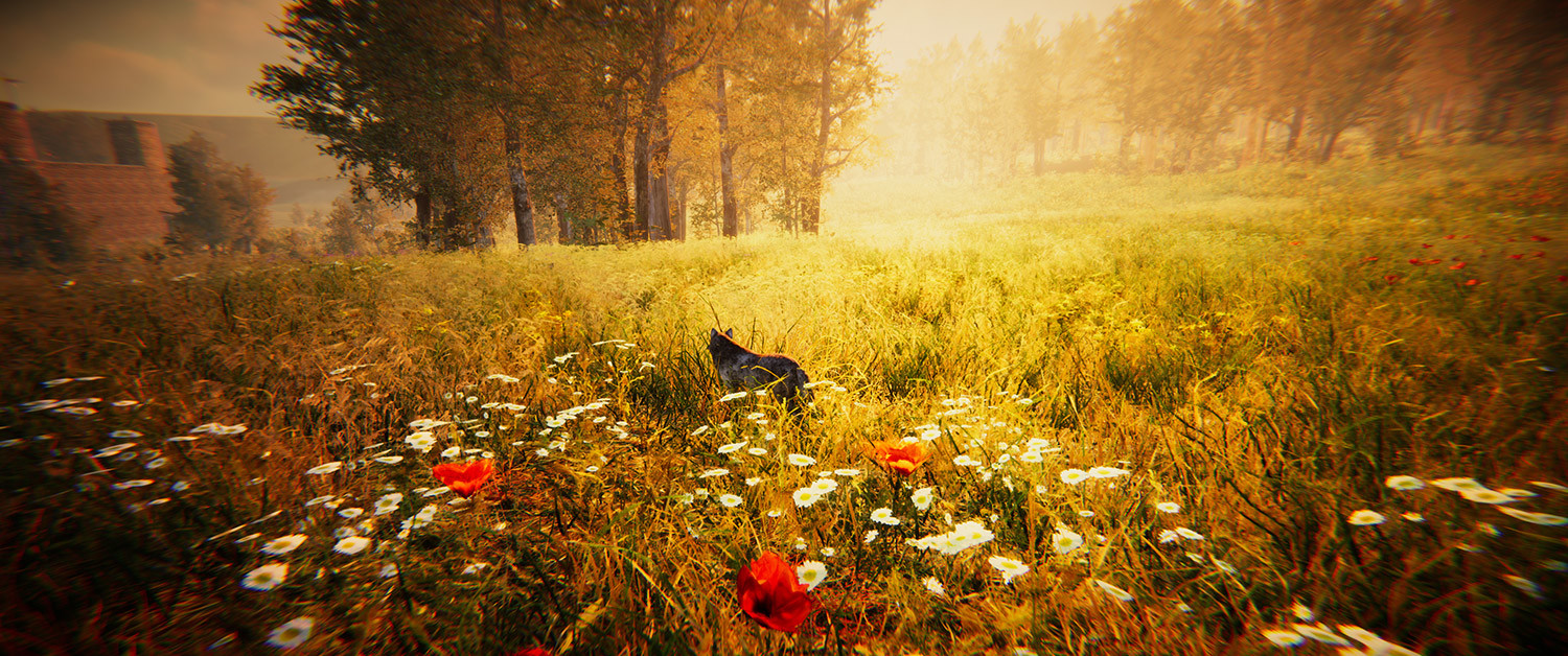 Animal Simulator on Steam