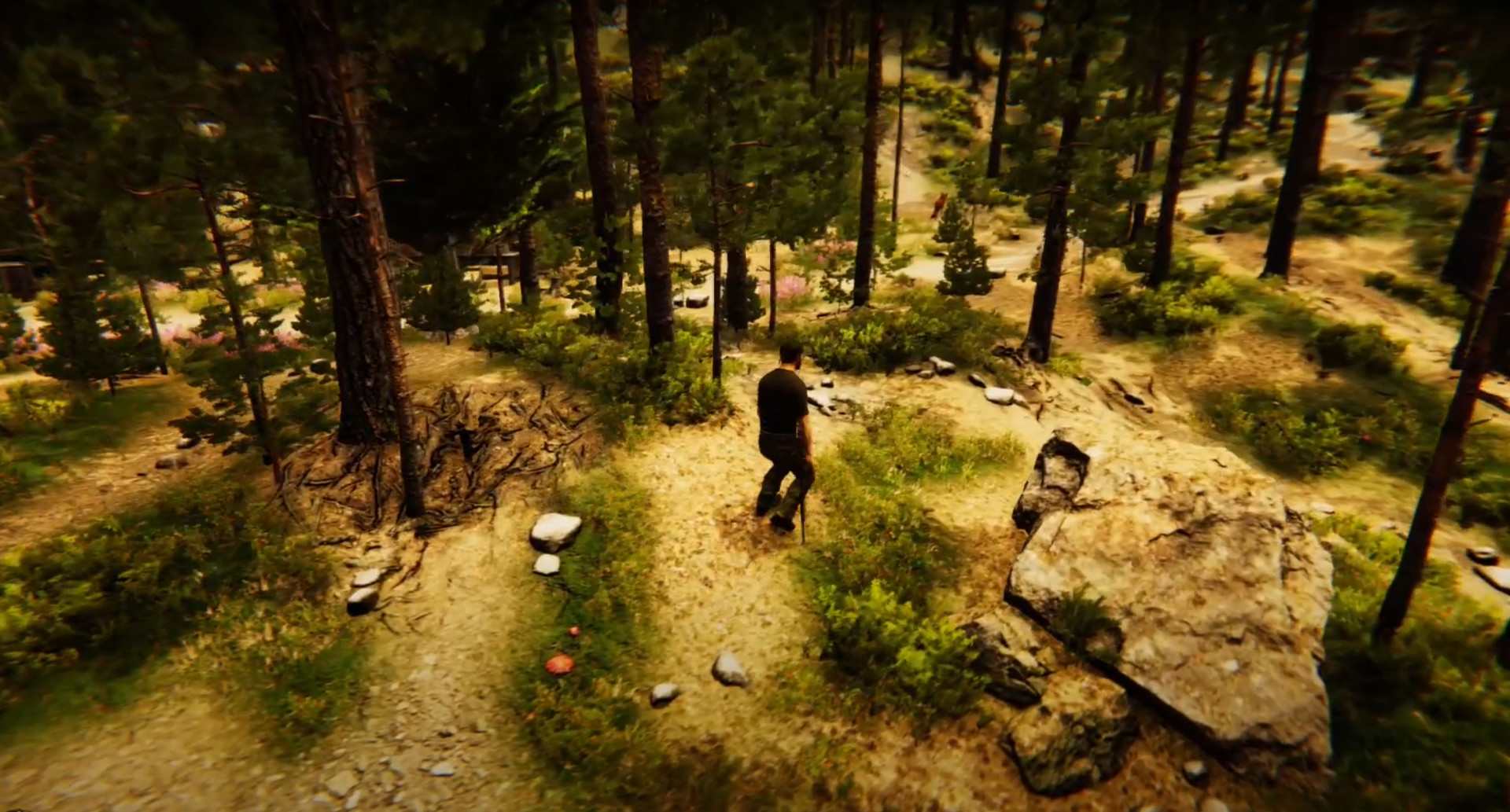 Animal Simulator on Steam