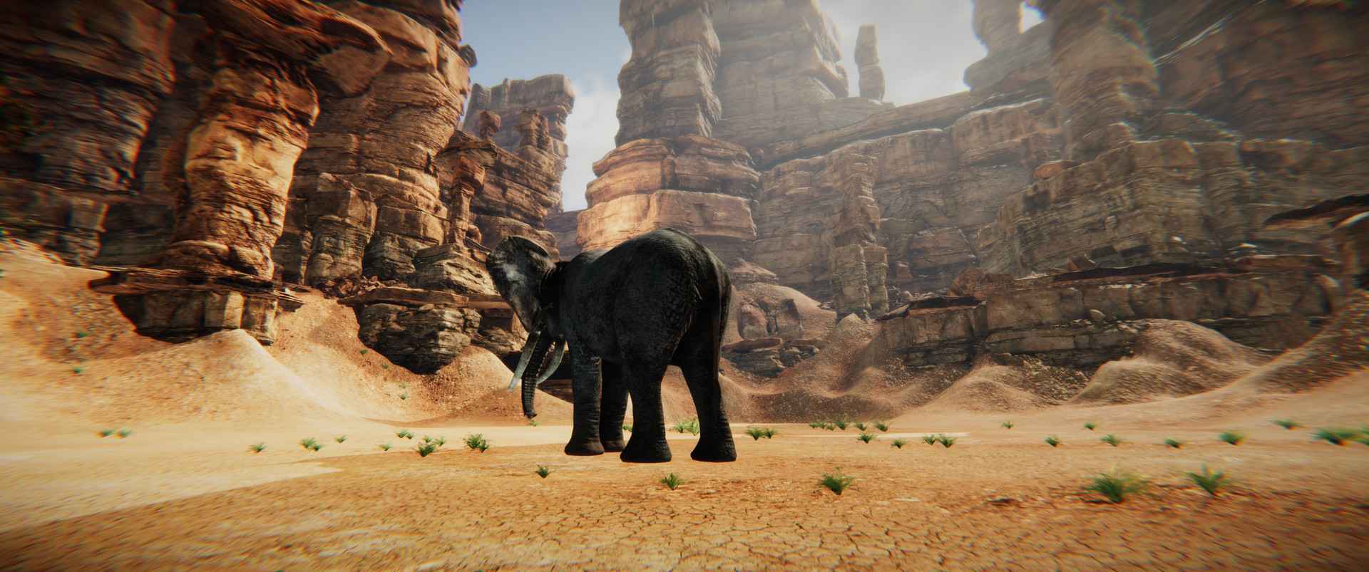 Animal Simulator on Steam