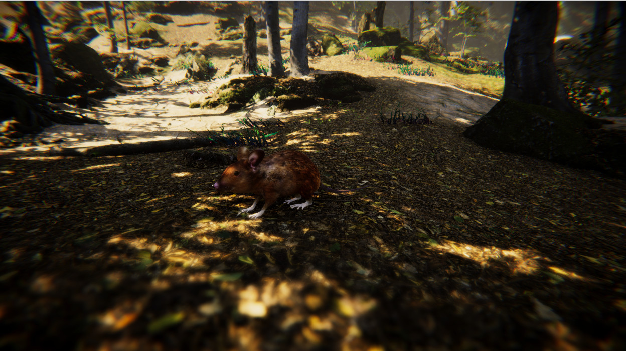 Animal Simulator on Steam