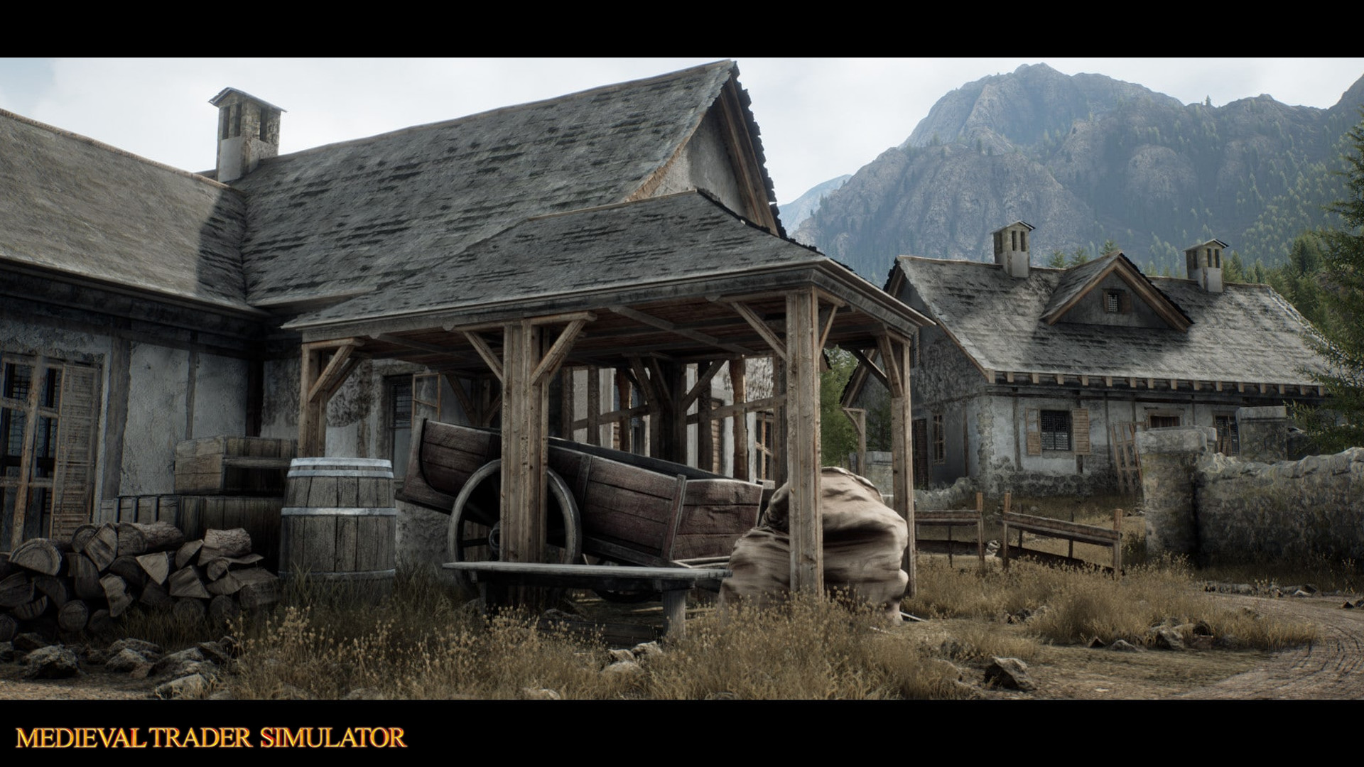 Medieval Trader Simulator on Steam