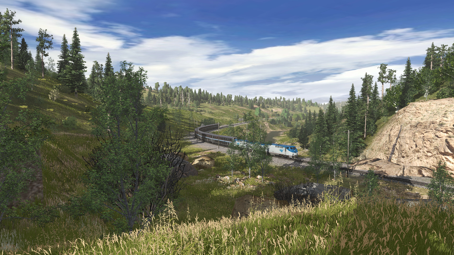 Trainz Railroad Simulator 2022 on Steam