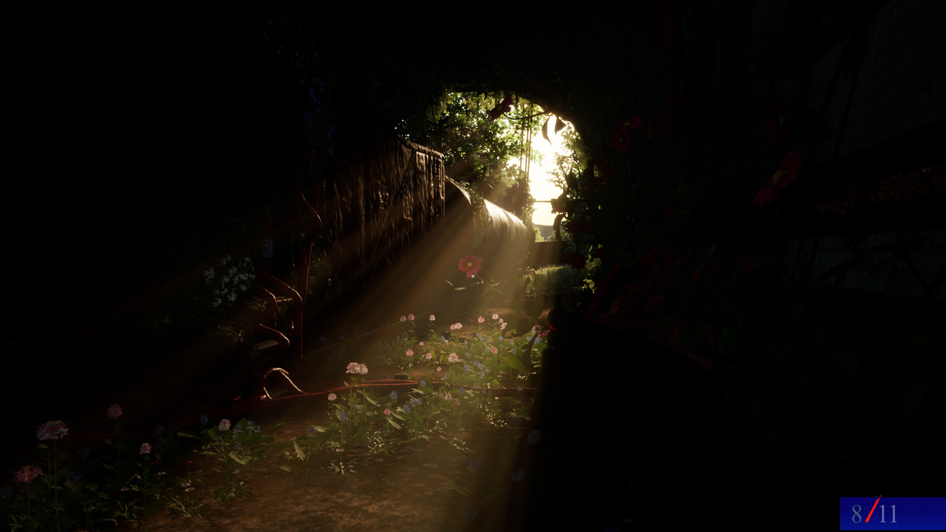 Entropic Decay on Steam