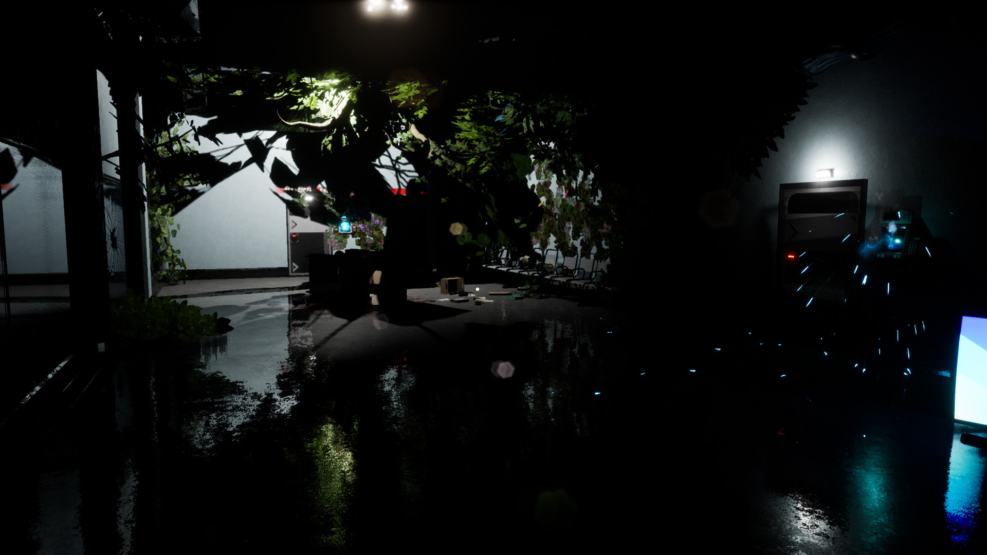 Entropic Decay on Steam