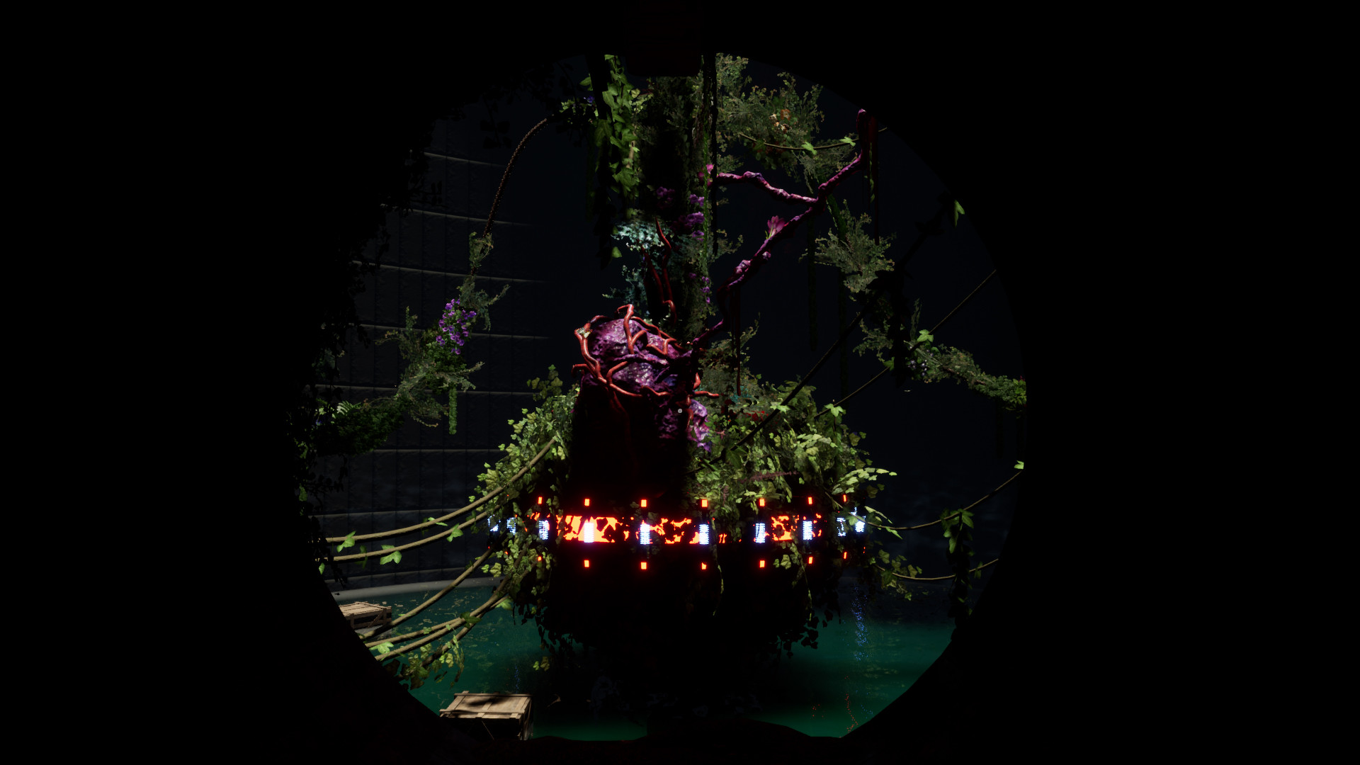 Entropic Decay on Steam