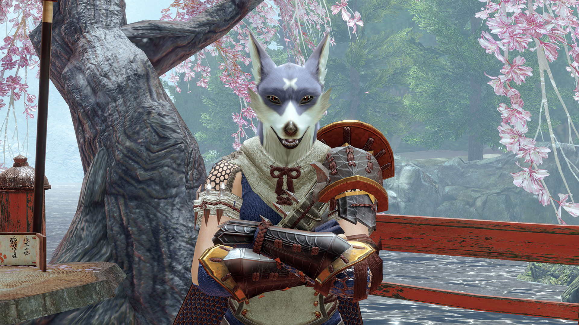 MONSTER HUNTER RISE - "Canyne Mask" Hunter layered armor piece ...