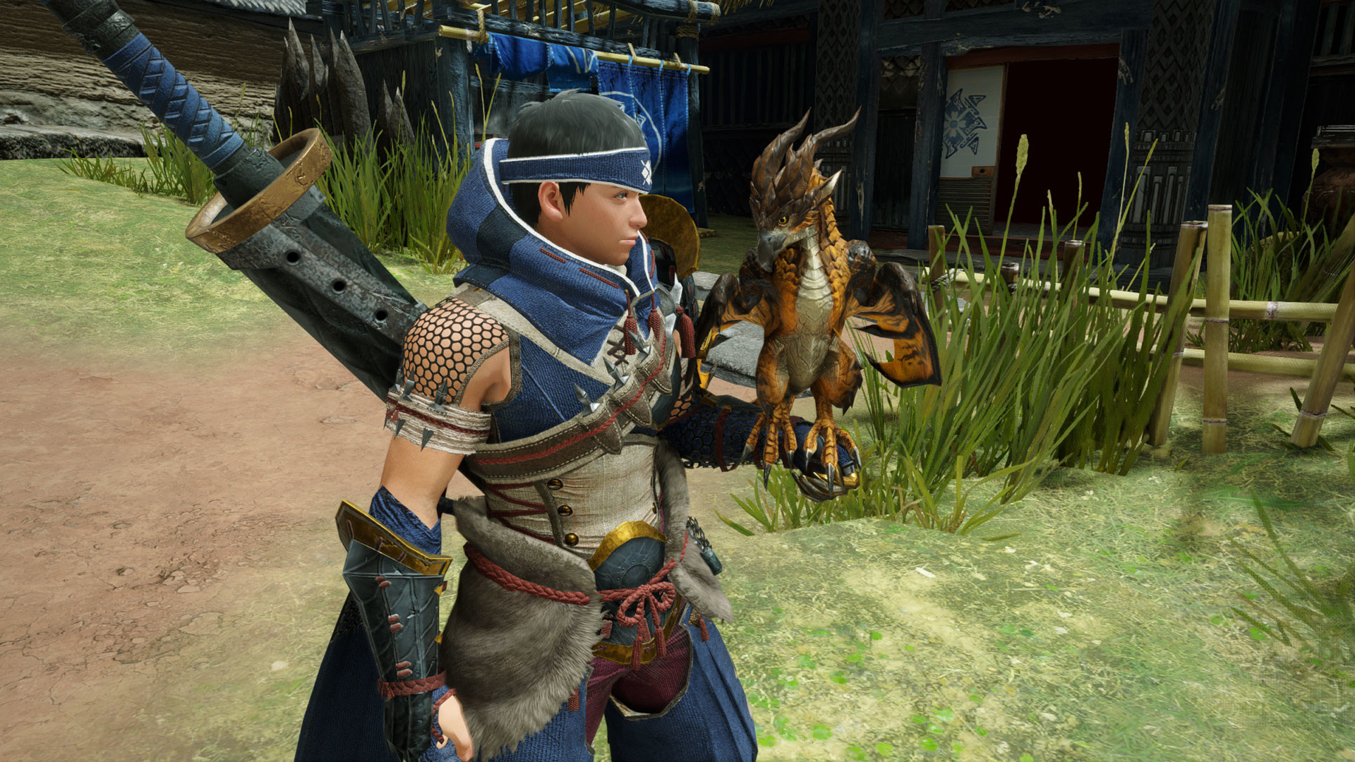 MONSTER HUNTER RISE - "Li'l Wingdrake" Cohoot outfit on Steam