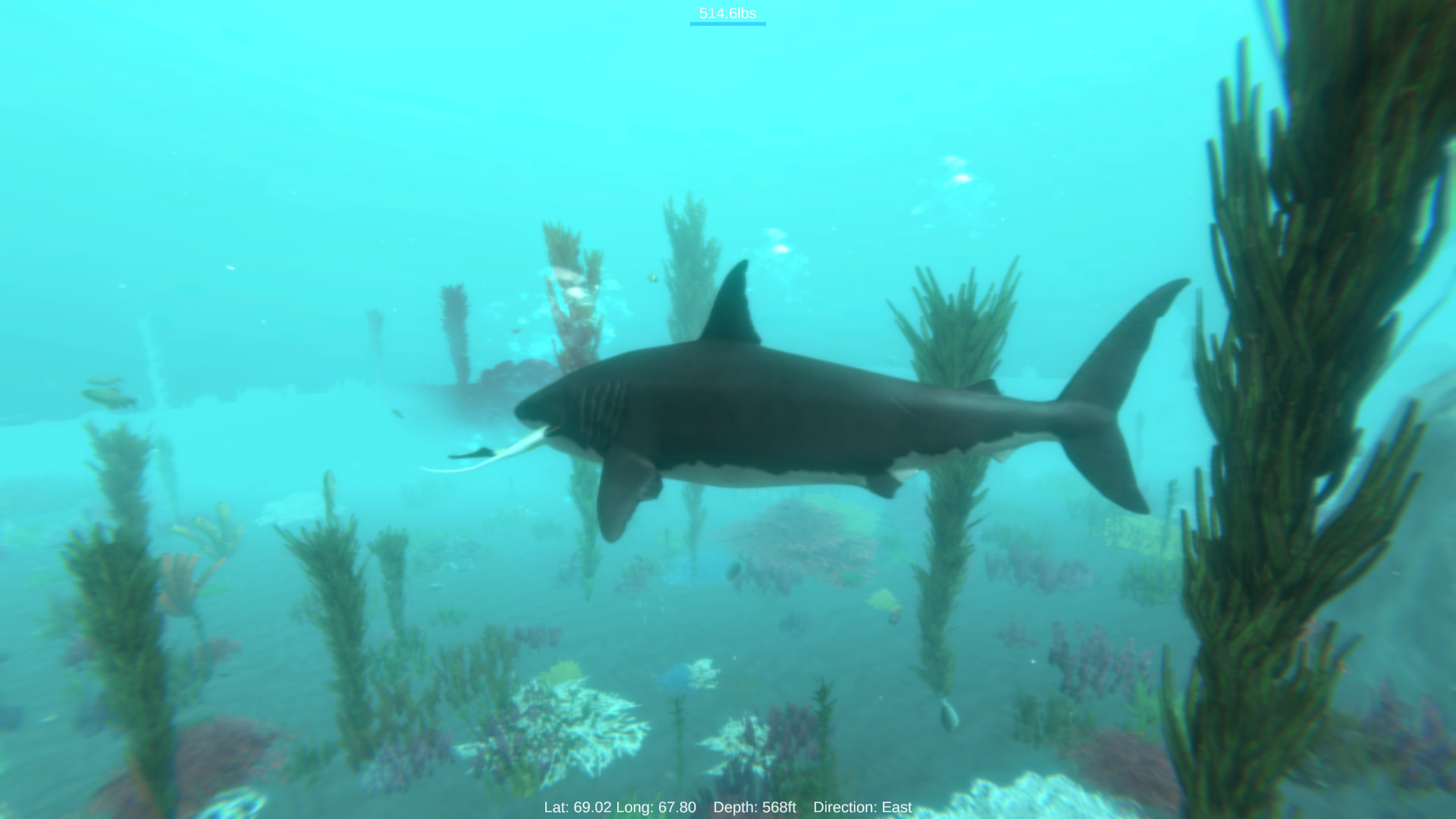 Alpha Shark on Steam