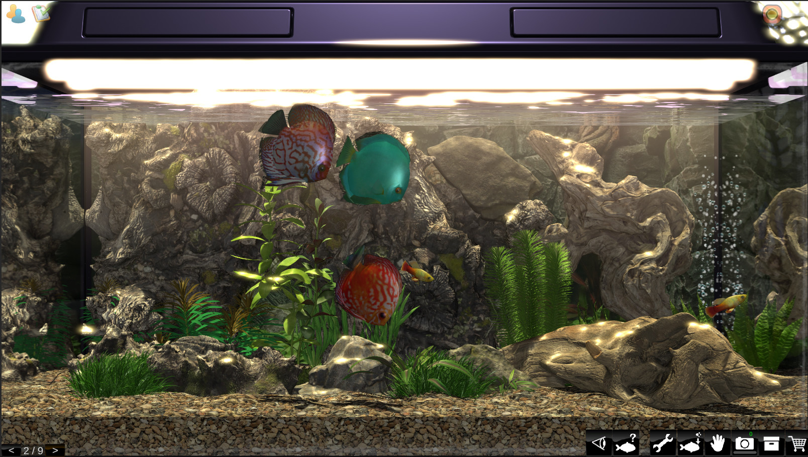 Snapshot Aquarium on Steam