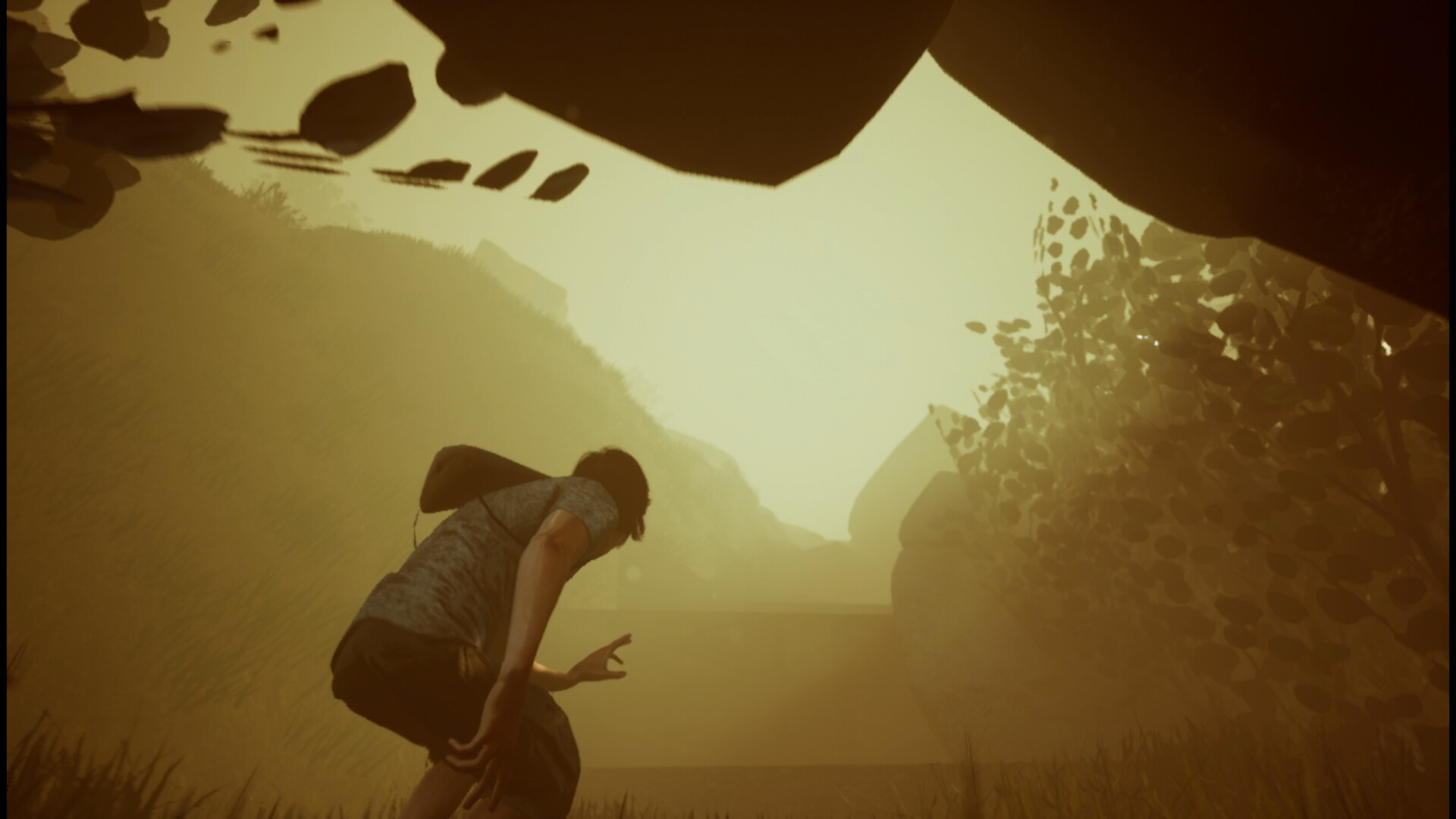 The Ecdysis on Steam