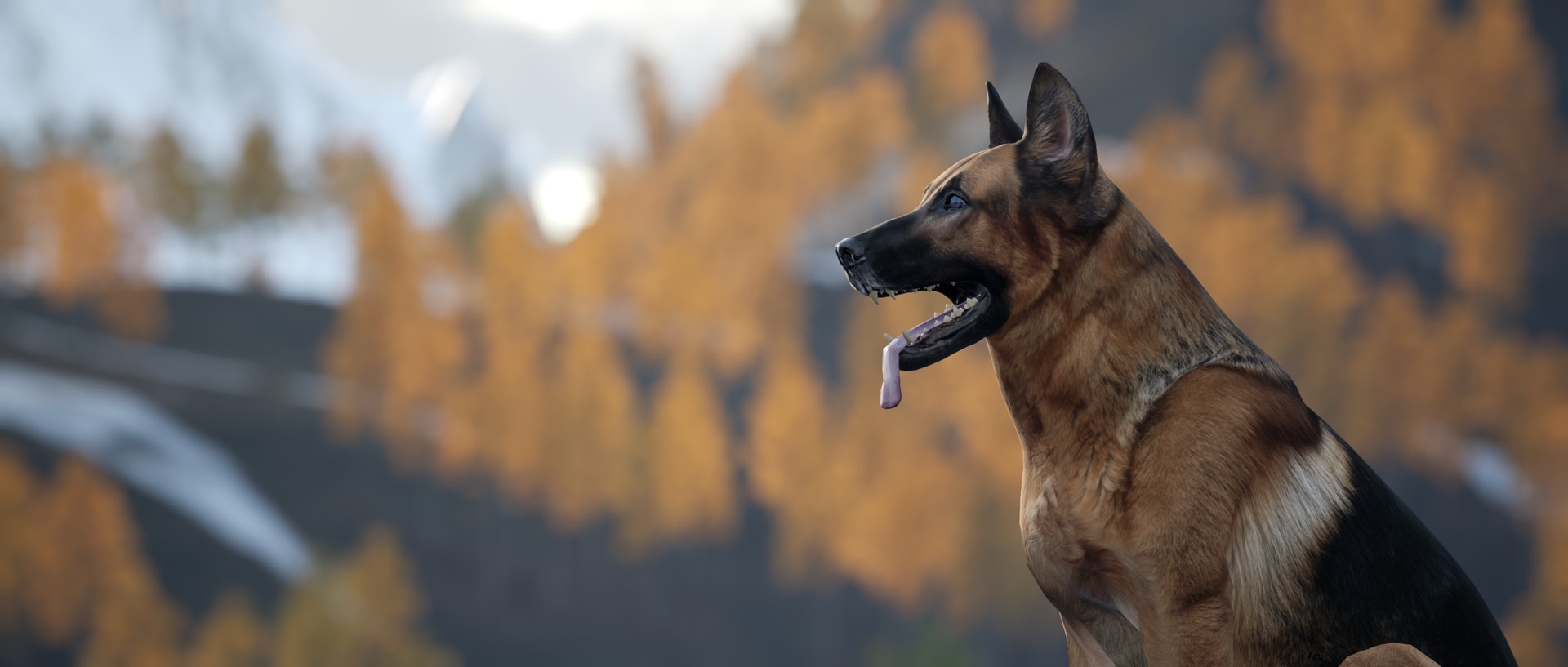 Motorcycle Travel Simulator on Steam