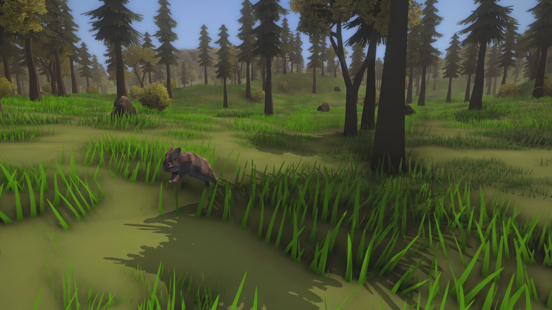 Wild Frontier on Steam