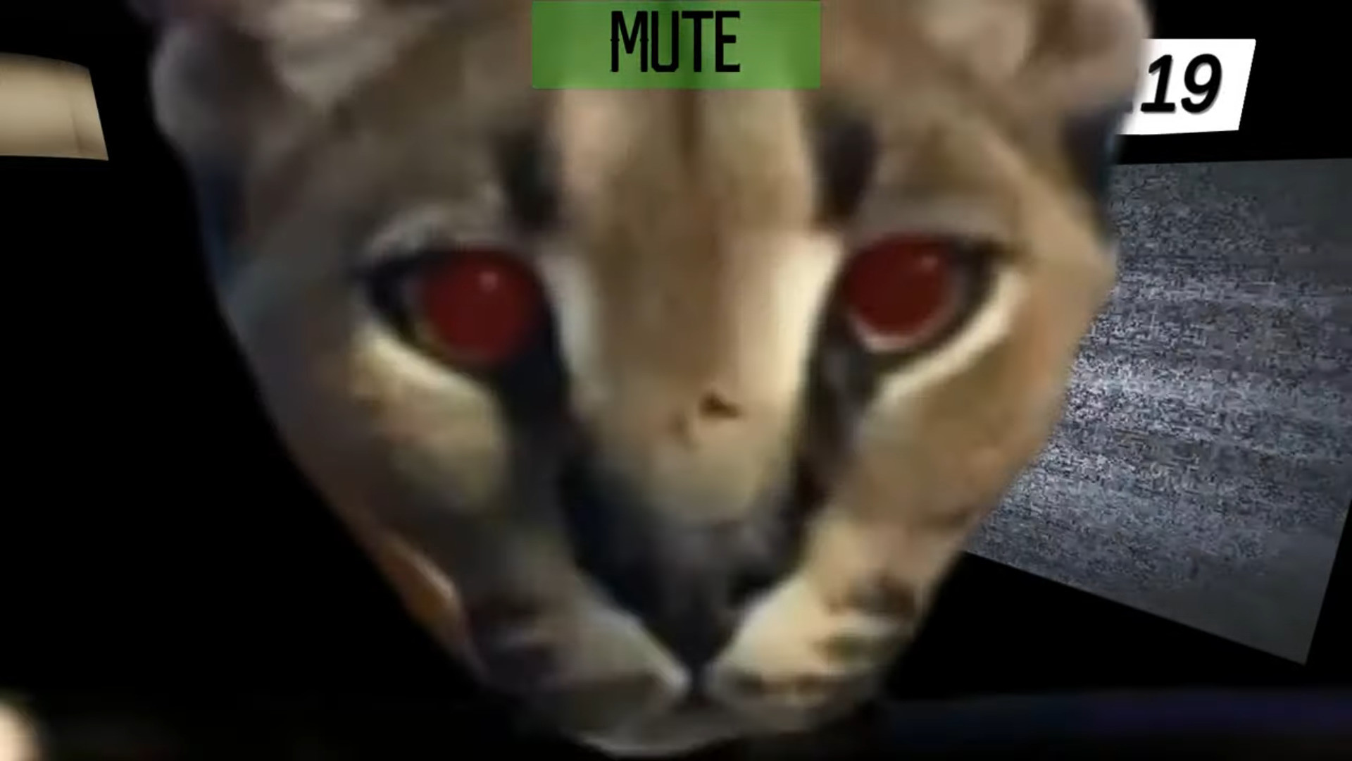 Five nights at Floppa (App 1878740) · SteamDB