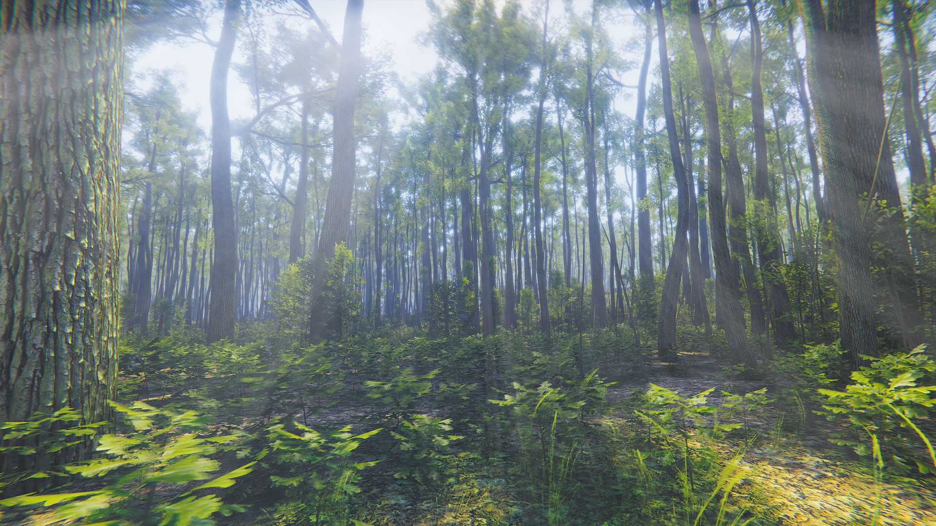 Mindfulness Simulator - ASMR Meditation Game on Steam