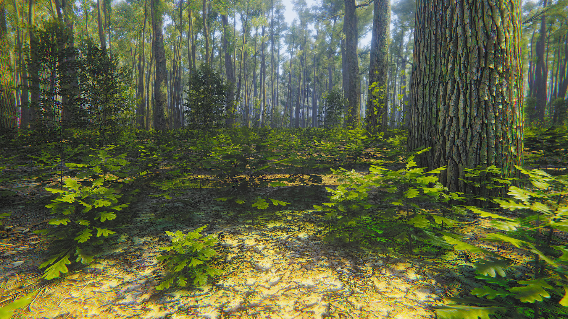 Mindfulness Simulator - ASMR Meditation Game on Steam