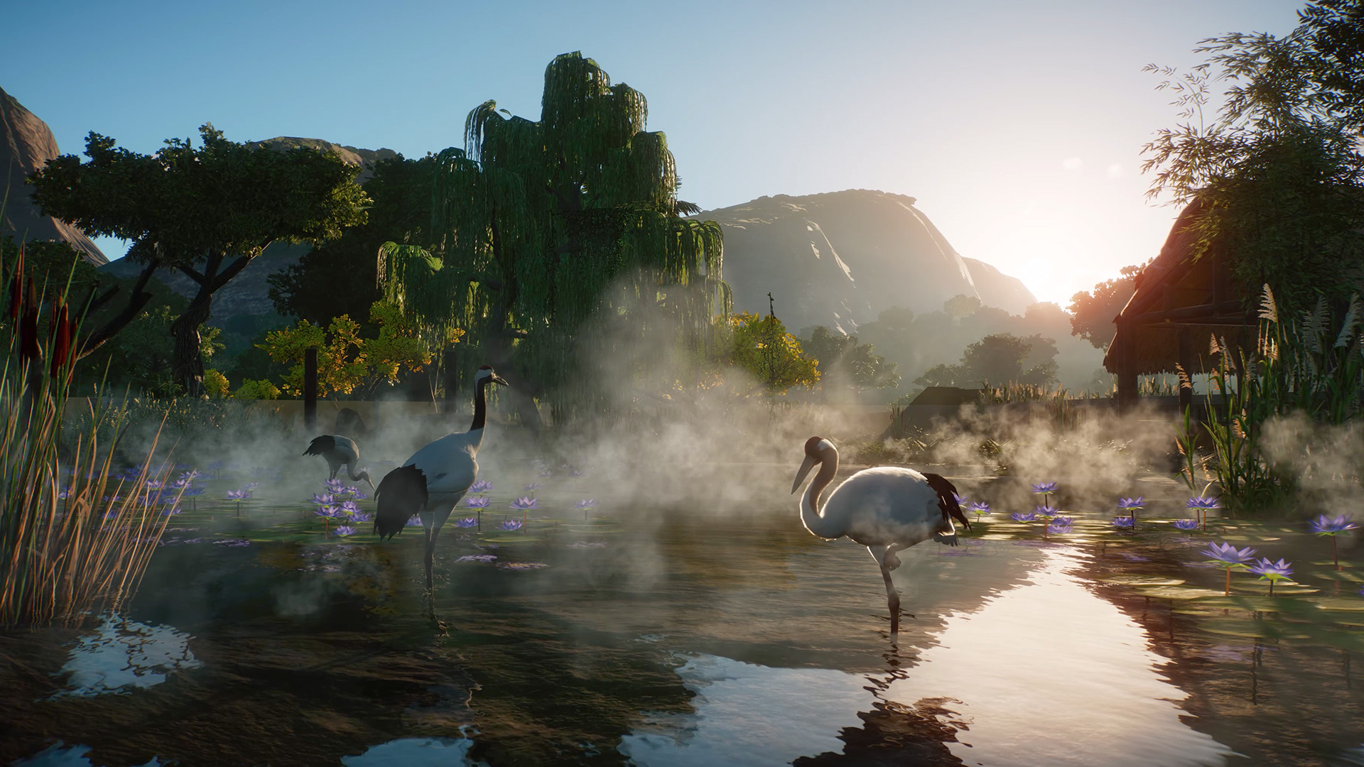 Planet Zoo: Wetlands Animal Pack on Steam
