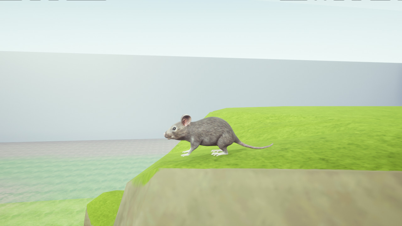 RAT MEMORY on Steam