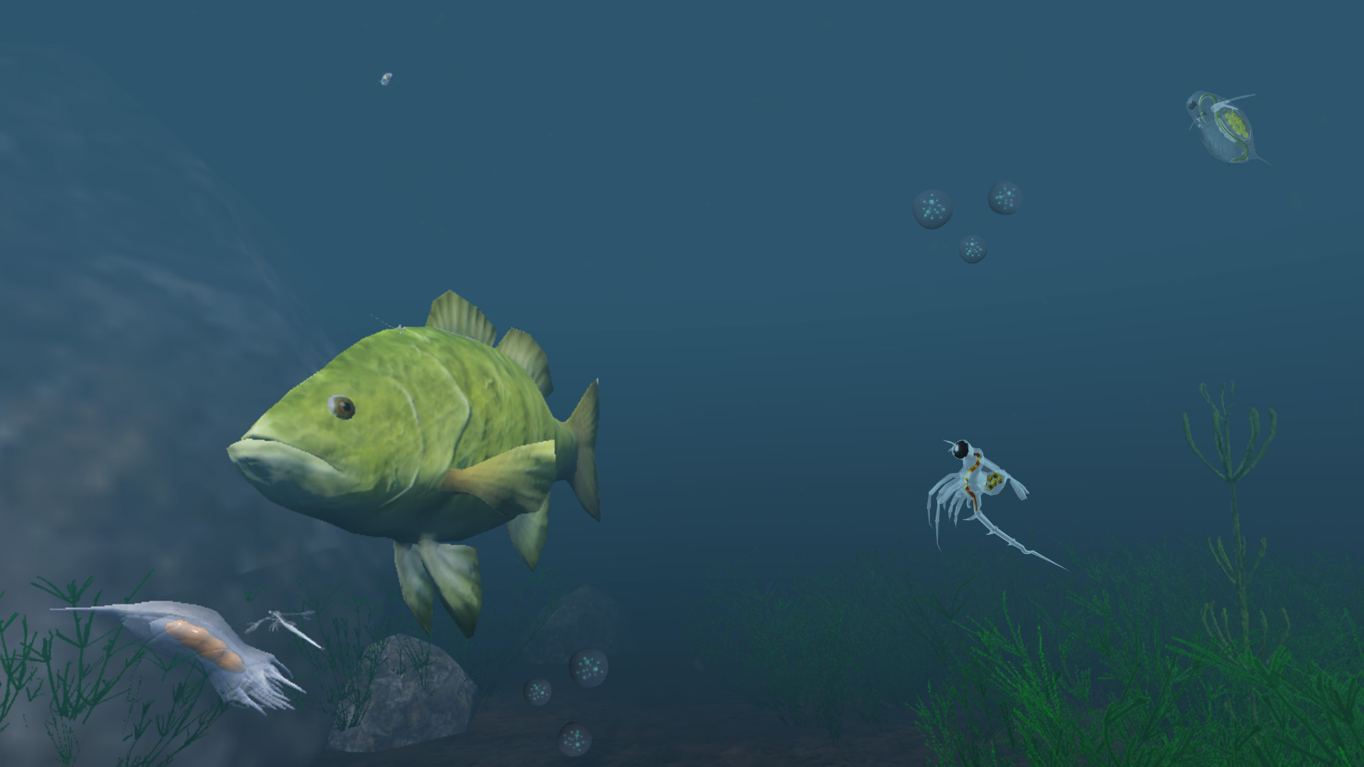 The Aquatic Messenger on Steam