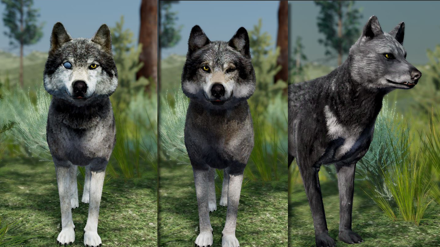 WolfQuest Anniversary - Building Character Pack Screenshots · SteamDB