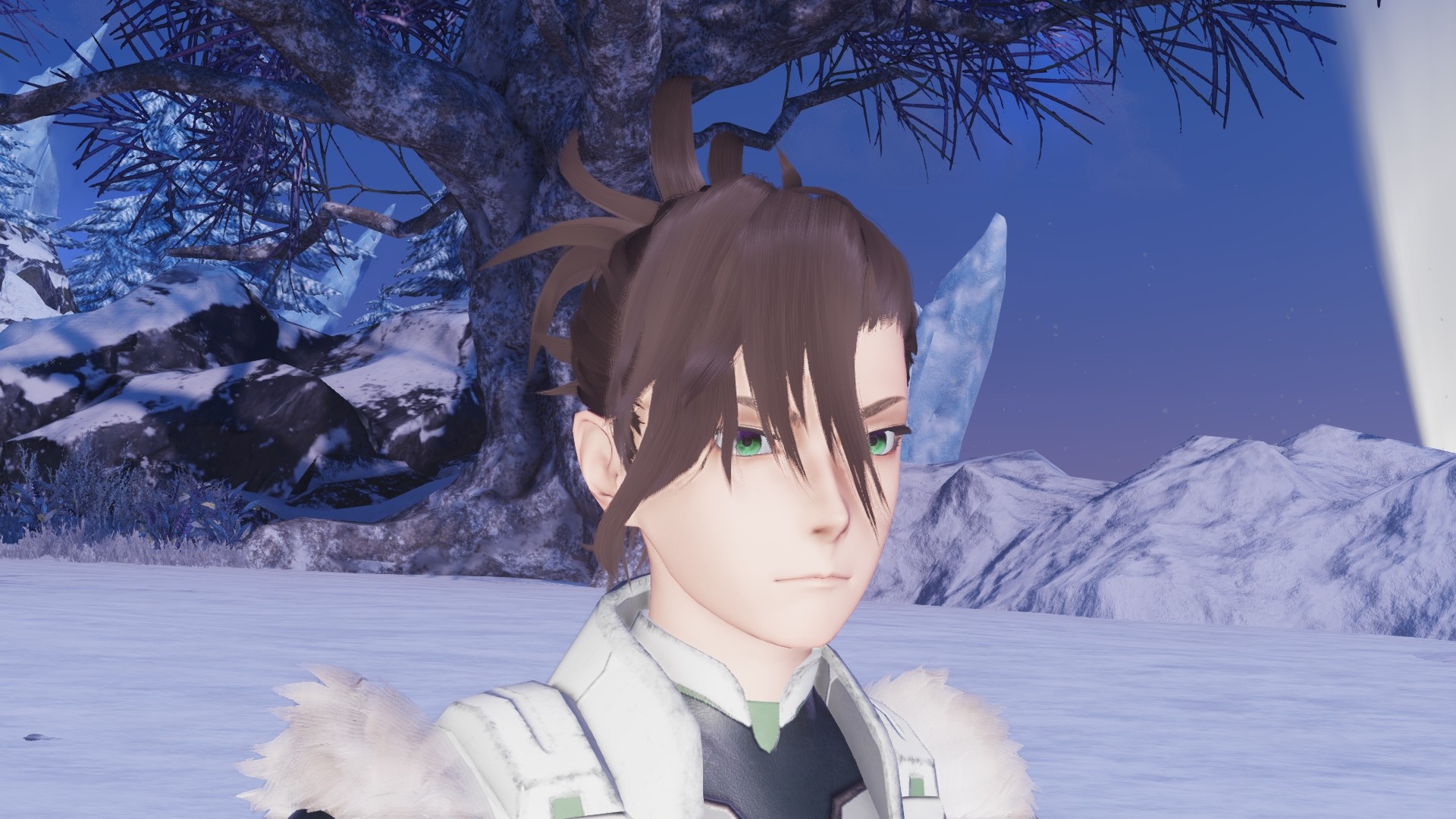 Phantasy Star Online 2 New Genesis - Silver Peaks Kvaris Pack/Type 1 ...