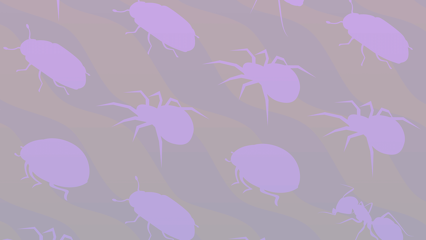 Bugaboo Pocket · SteamDB