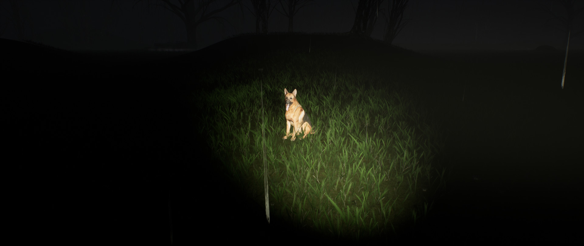 The Chronicle on Steam