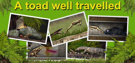 Steam Community :: A toad well travelled