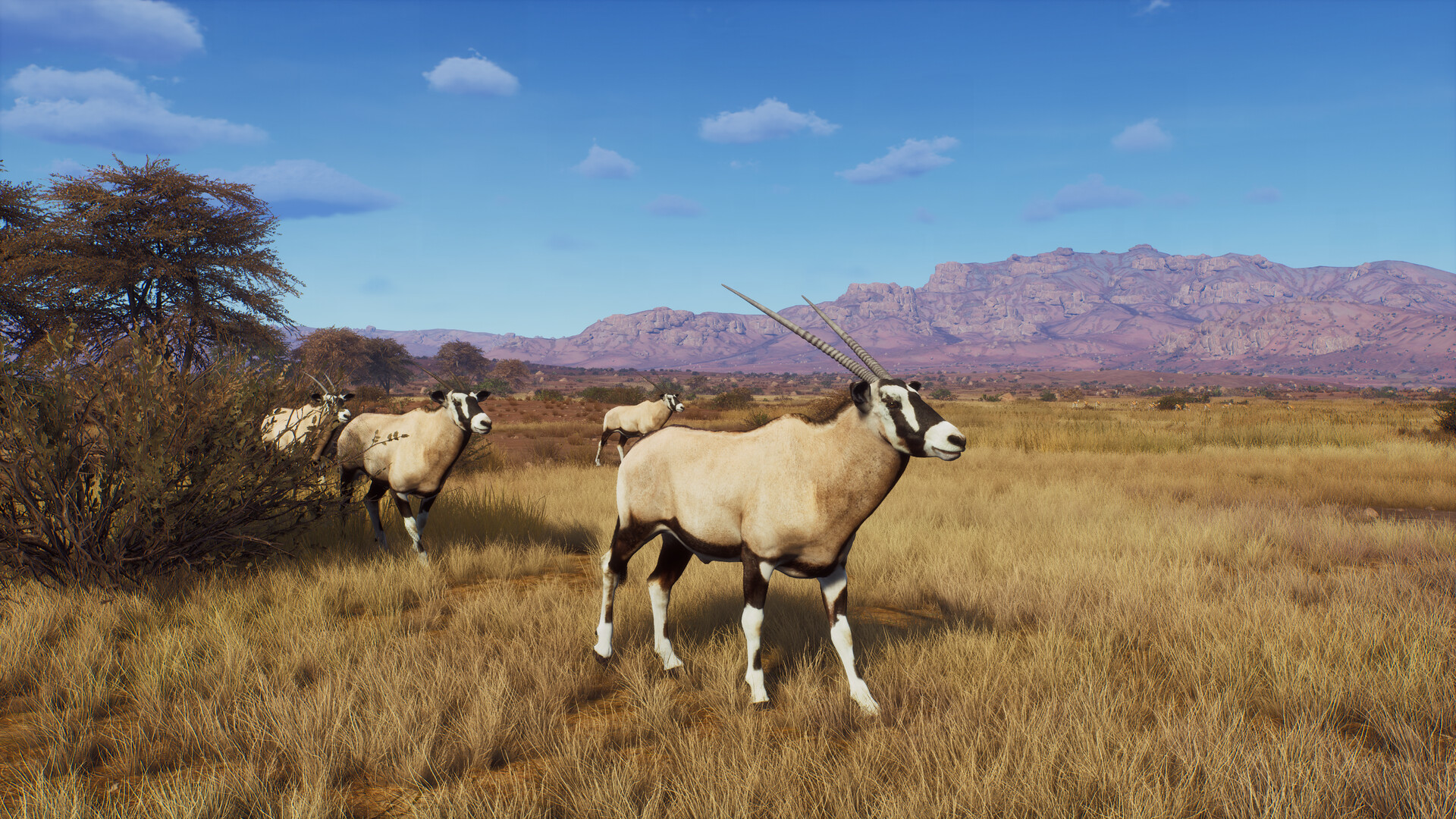 Way of the Hunter - Tikamoon Plains on Steam