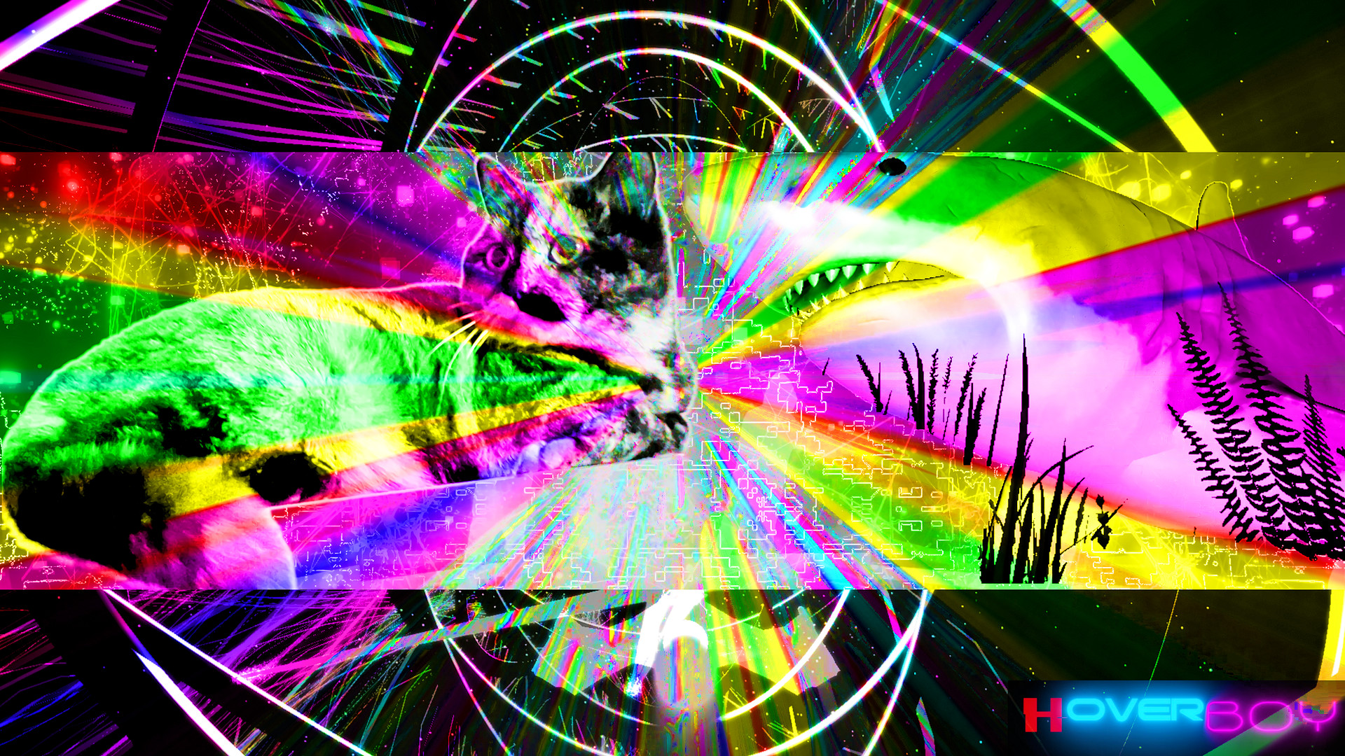 Hoverboy - Large Donation & Wallpaper on Steam