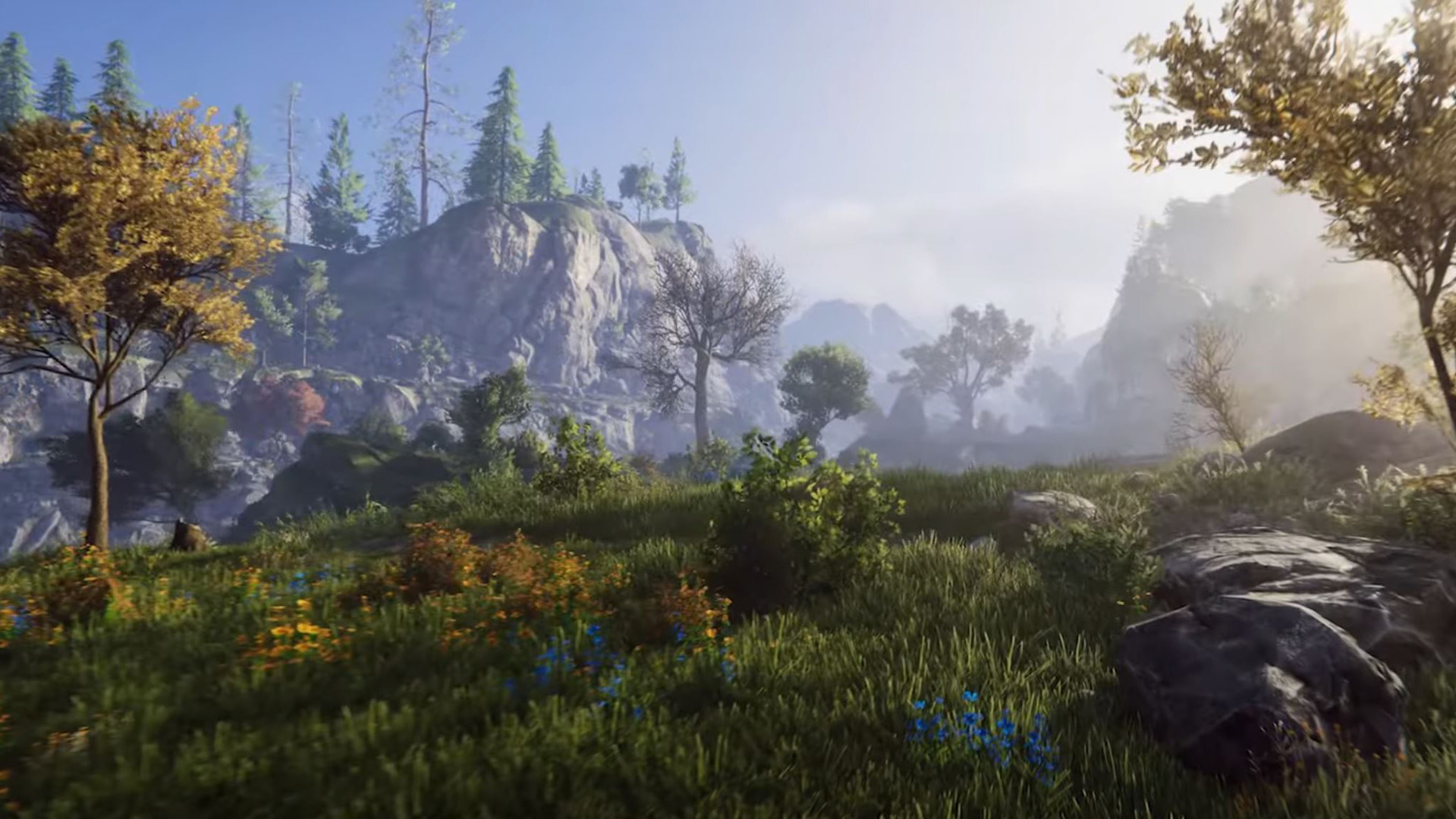 Unheeded Influences on Steam