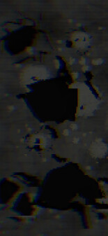 Disfigure · SteamDB