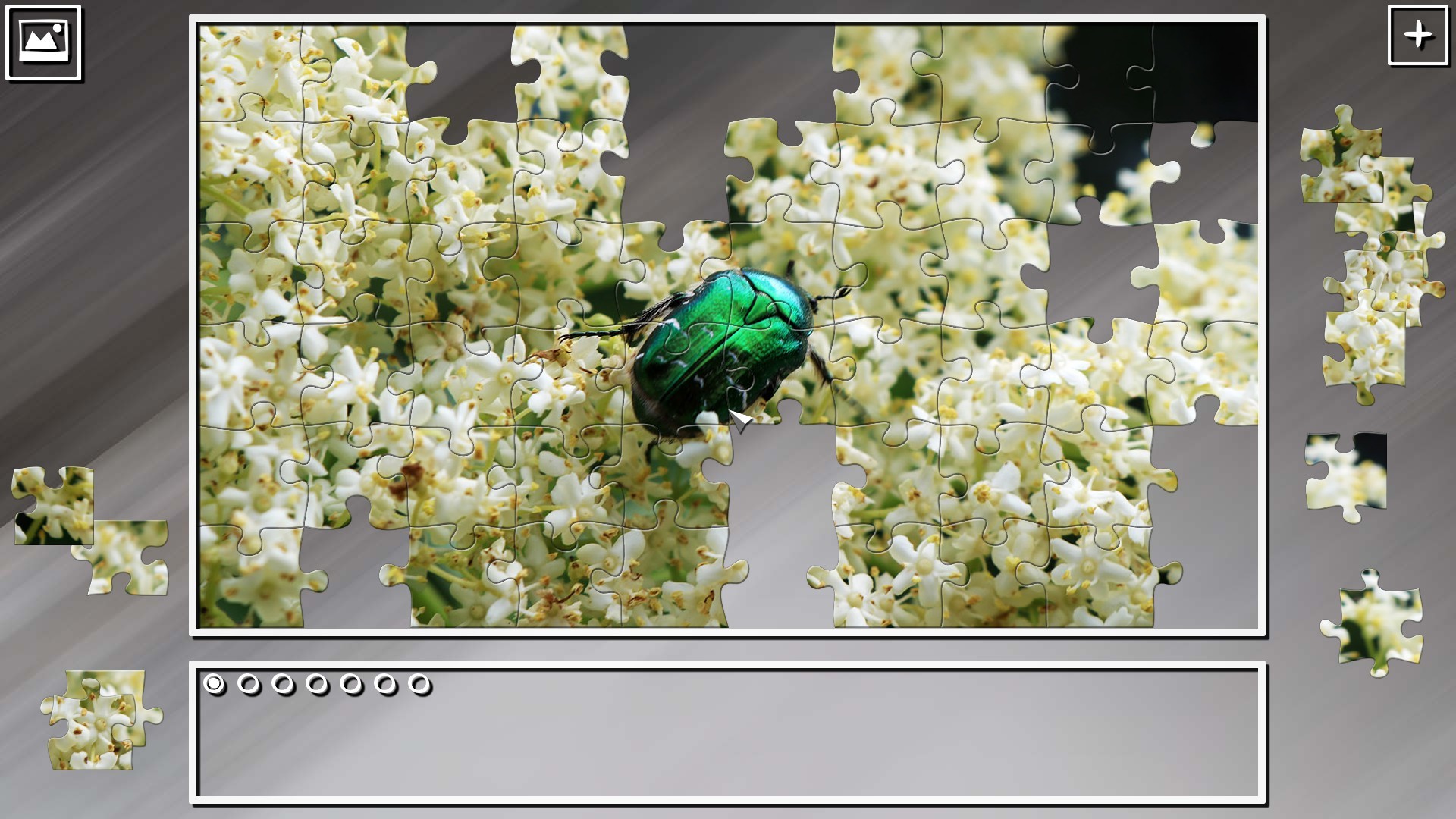 Super Jigsaw Puzzle: Generations - Random Animals 2 on Steam