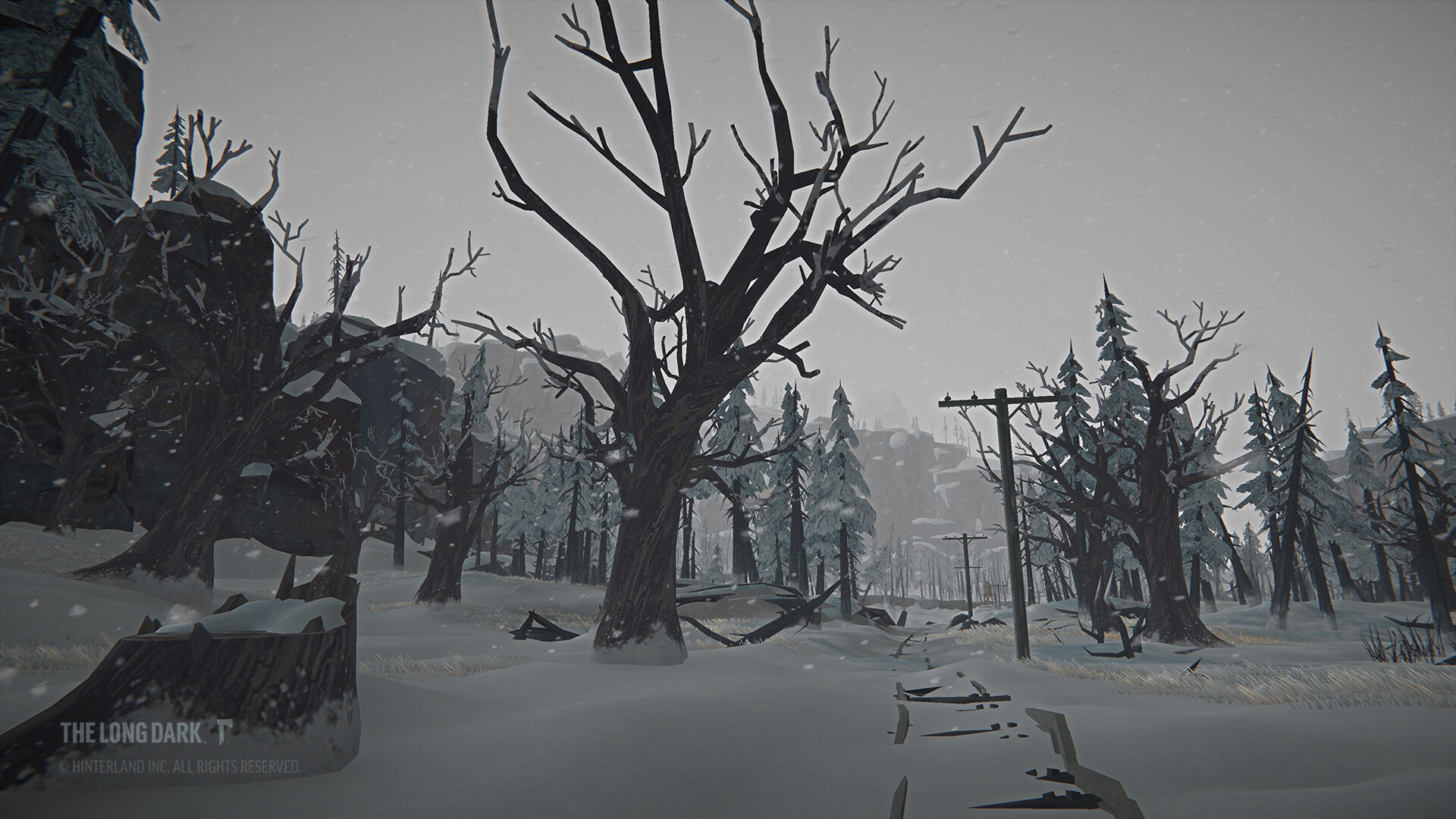 The Long Dark: Tales from the Far Territory on Steam