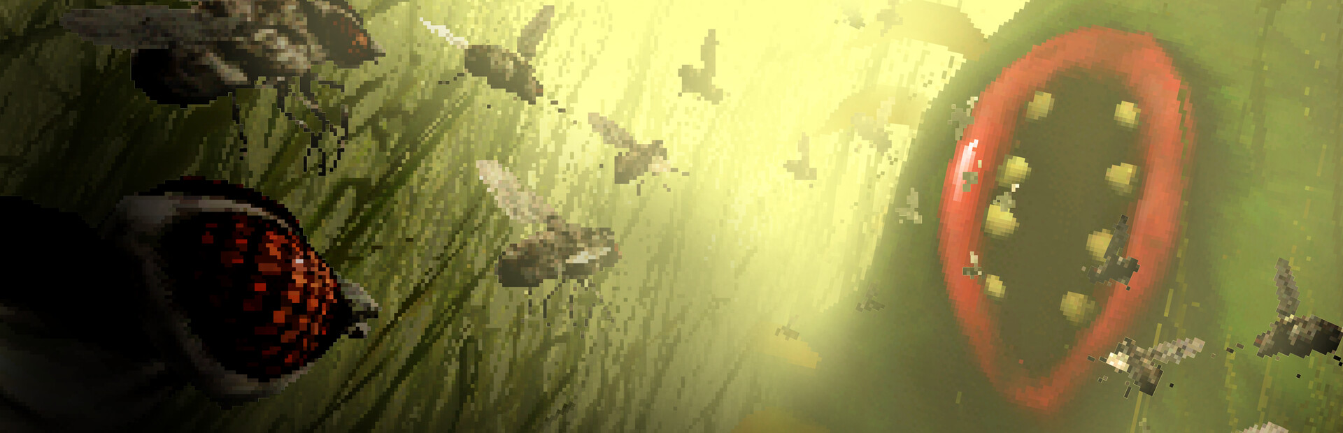The Hungry Fly · SteamDB