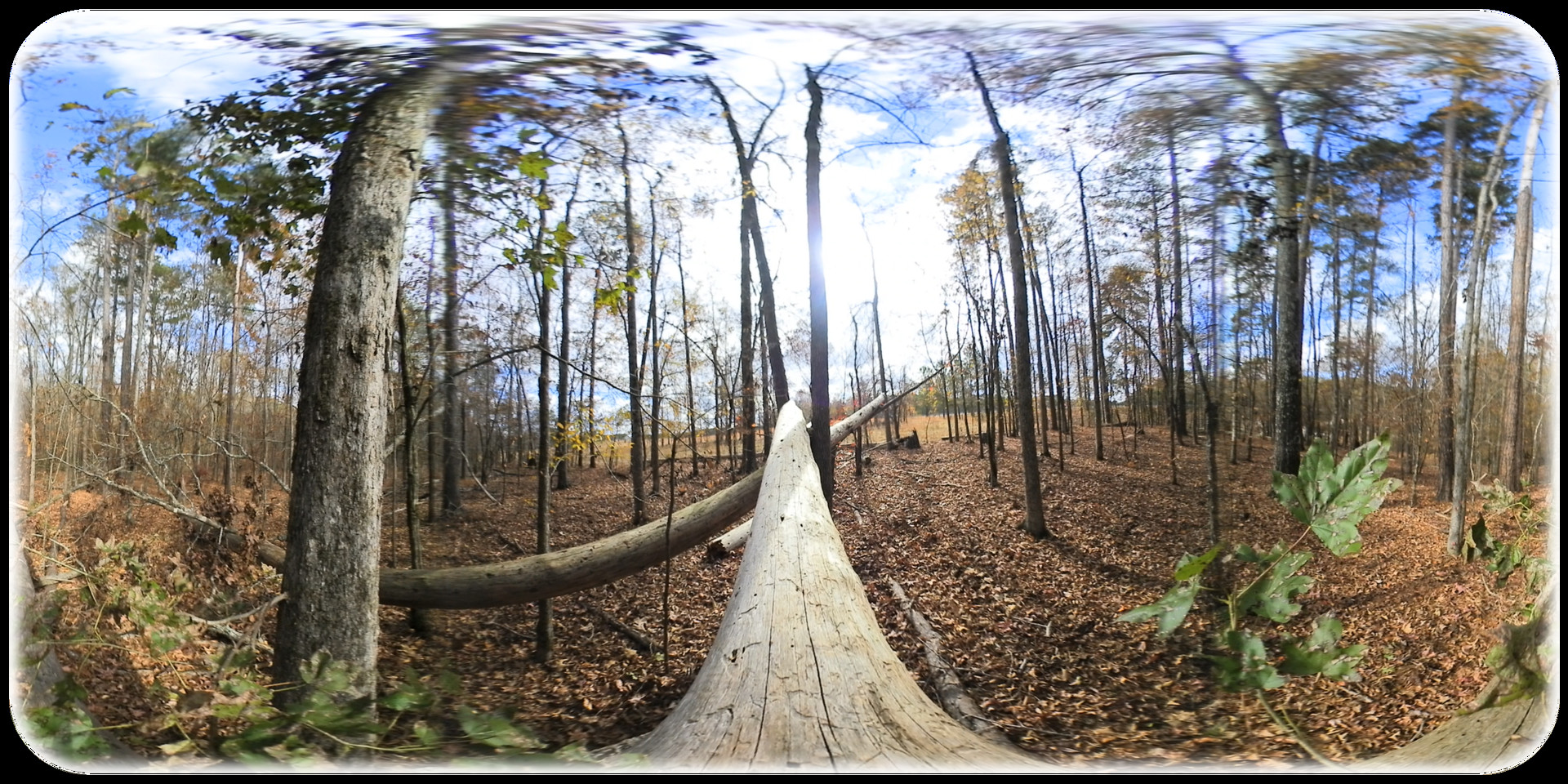 Exhale XR - Fall Journey บน Steam