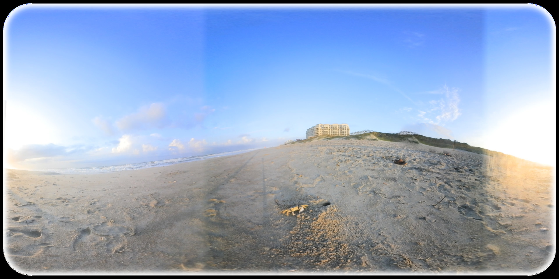 Exhale XR - Aquatic Wildlife on Steam