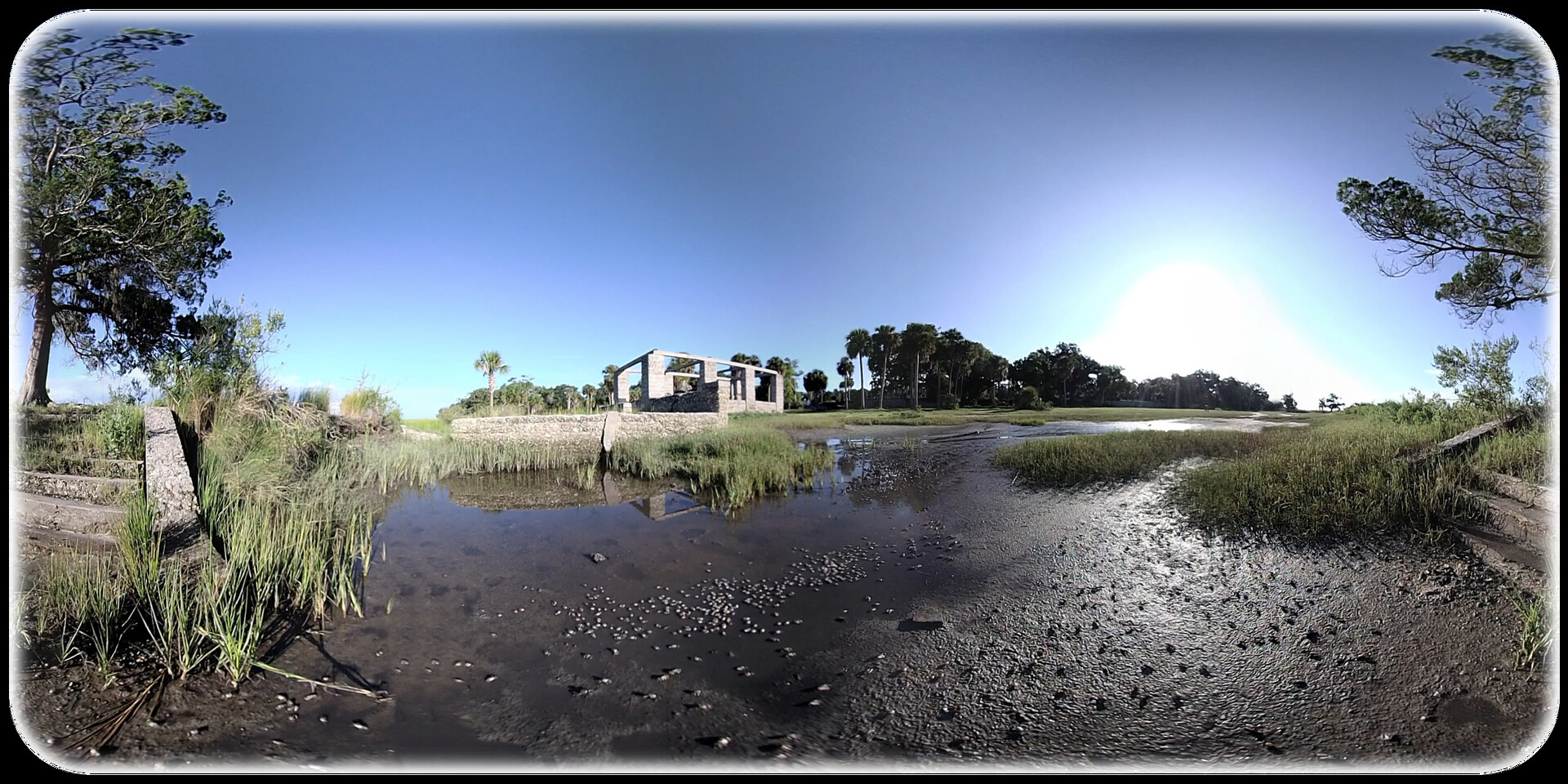 Exhale XR - Wildlife on Steam