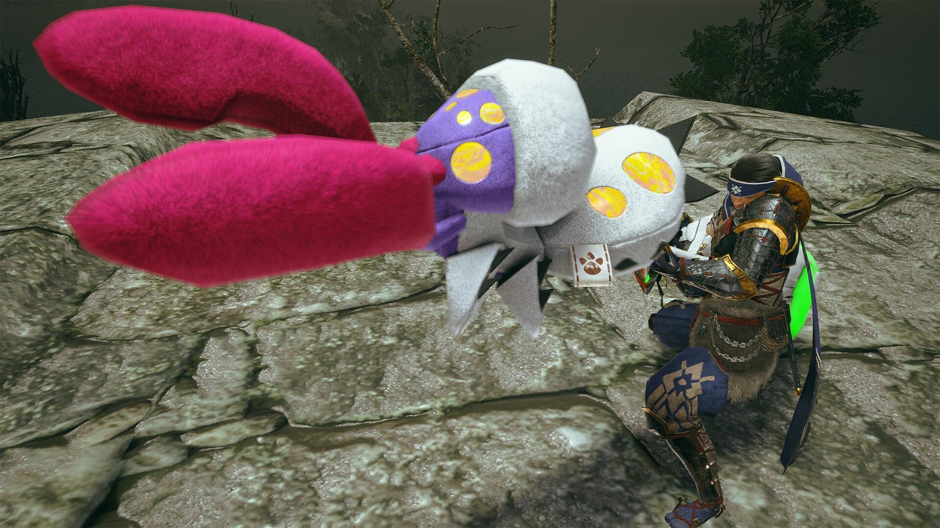 Monster Hunter Rise - "Stuffed Rakna-Kadaki" Hunter layered weapon ...