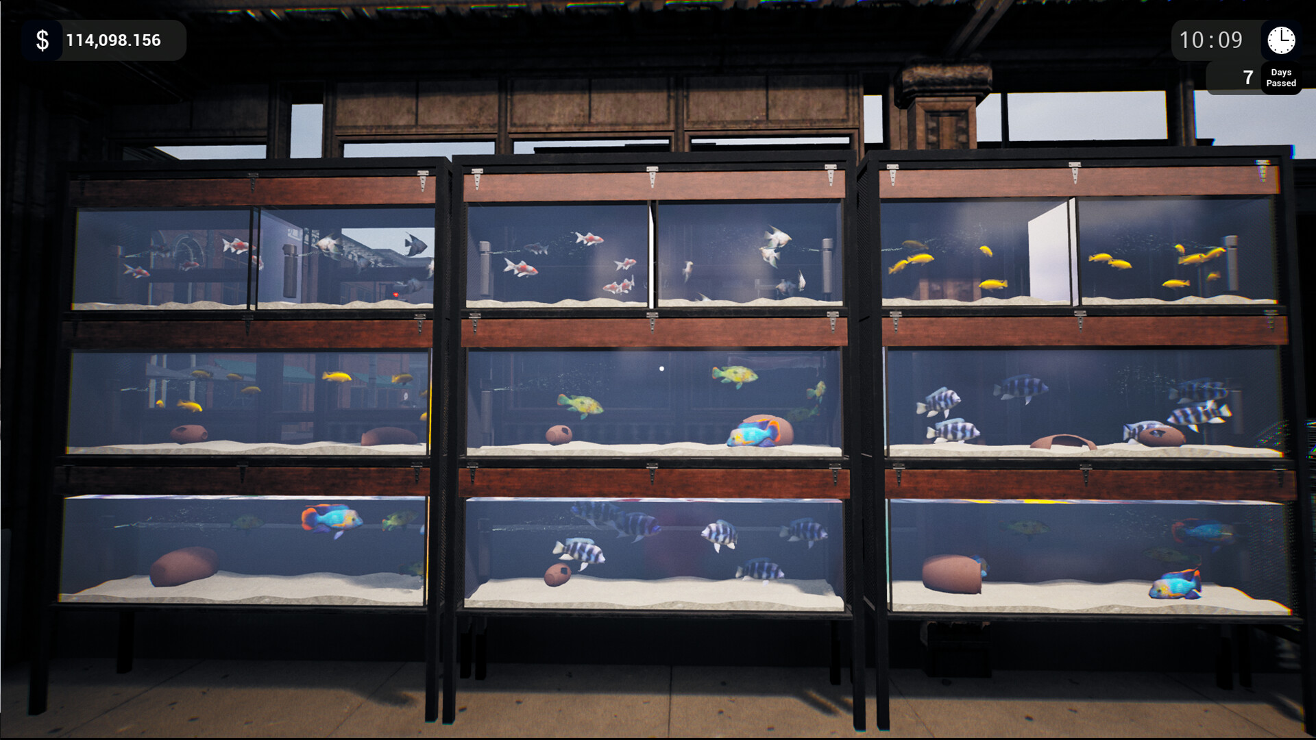 Exotica: Petshop Simulator on Steam