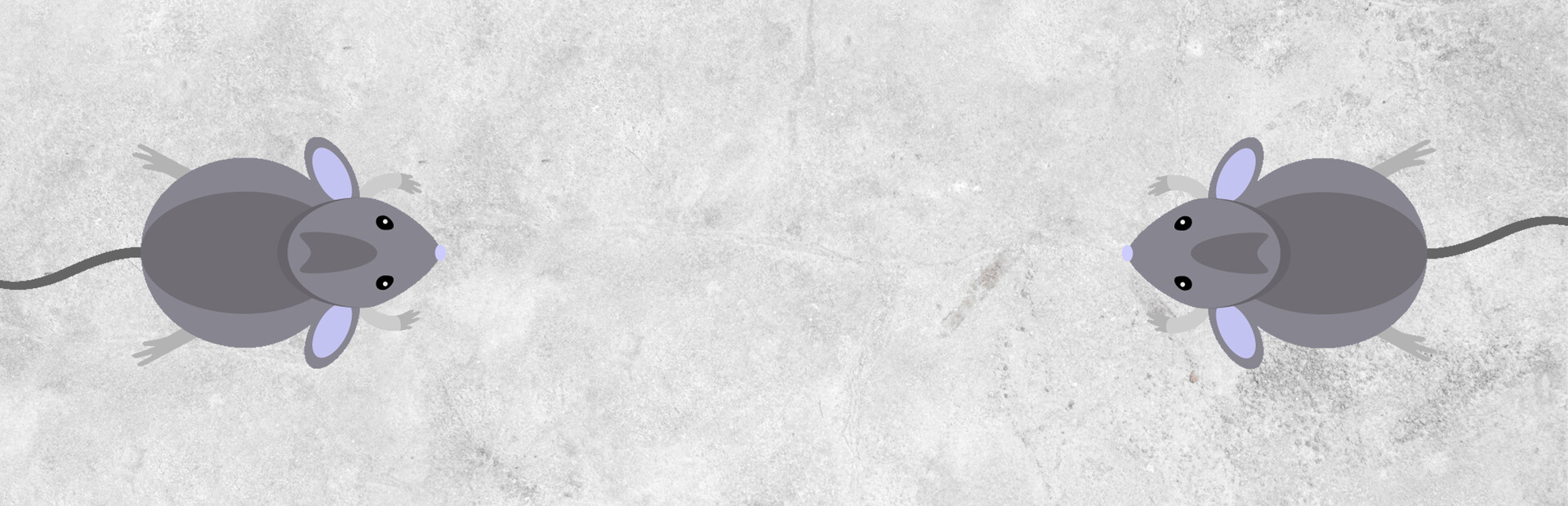 Rat Shoot Config · SteamDB